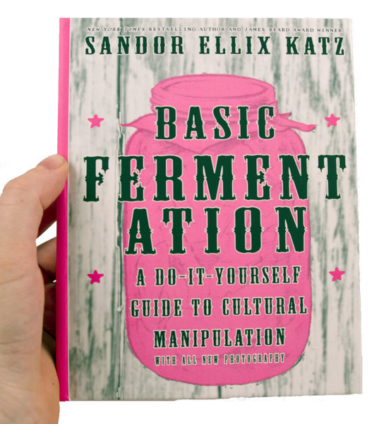 Let’s Get Sour: 5 Books on How to Ferment Your Foods | Microcosm Blogifesto